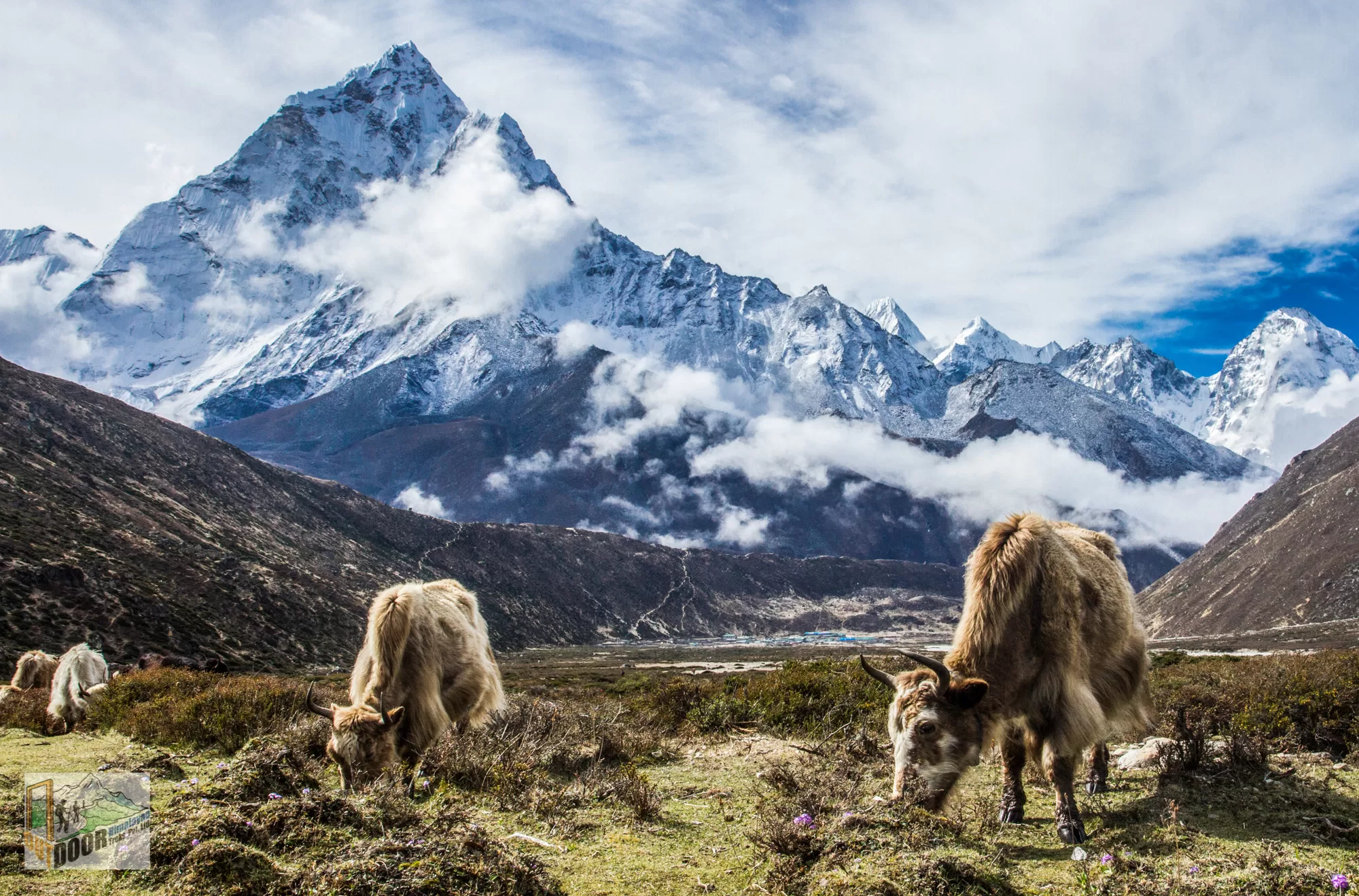 Everest Tracking Chips Now Mandatory: A Major Step Toward Safer ...